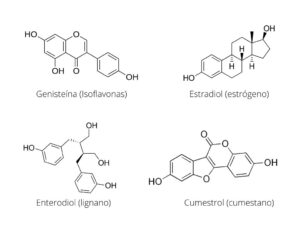 Fitoestrógenos, ¿Sabes lo que son?
